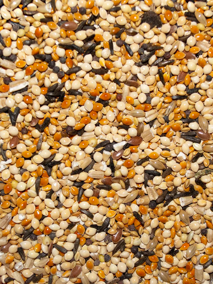 FINCH MIX – Morning Bird Products