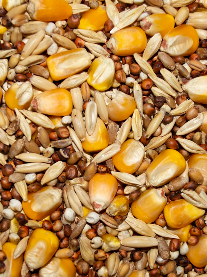 SUPER SCRATCH MIX – Morning Bird Products